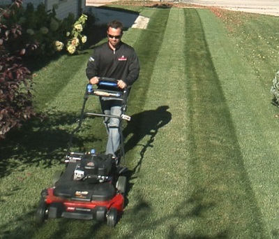Toro-30" Lawn Striping System (20602) - Gvėja